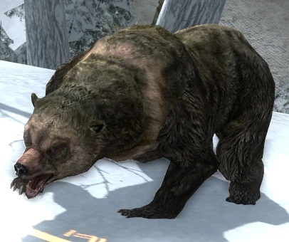 Young Vale-Bear | Lord of the Rings Online Wiki | Fandom