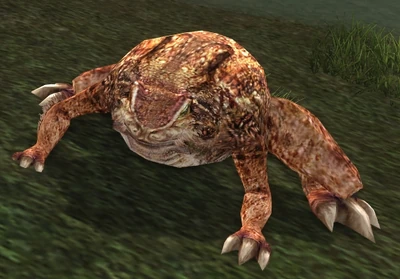 Angry Hill-Toad | Lord of the Rings Online Wiki | Fandom