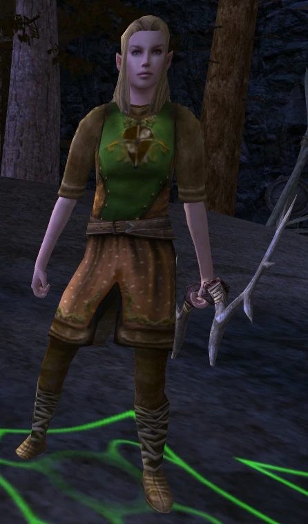 Elf-Champion | Lord of the Rings Online Wiki | Fandom