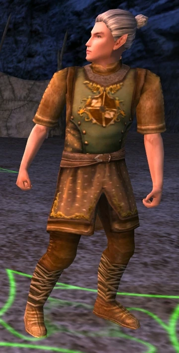 Elf-Hunter | Lord of the Rings Online Wiki | Fandom