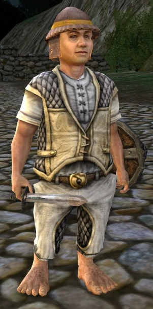 Bounder Boffin | Lord of the Rings Online Wiki | Fandom