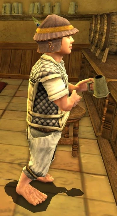 Shirriff Robin Smallburrow | Lord of the Rings Online Wiki | Fandom