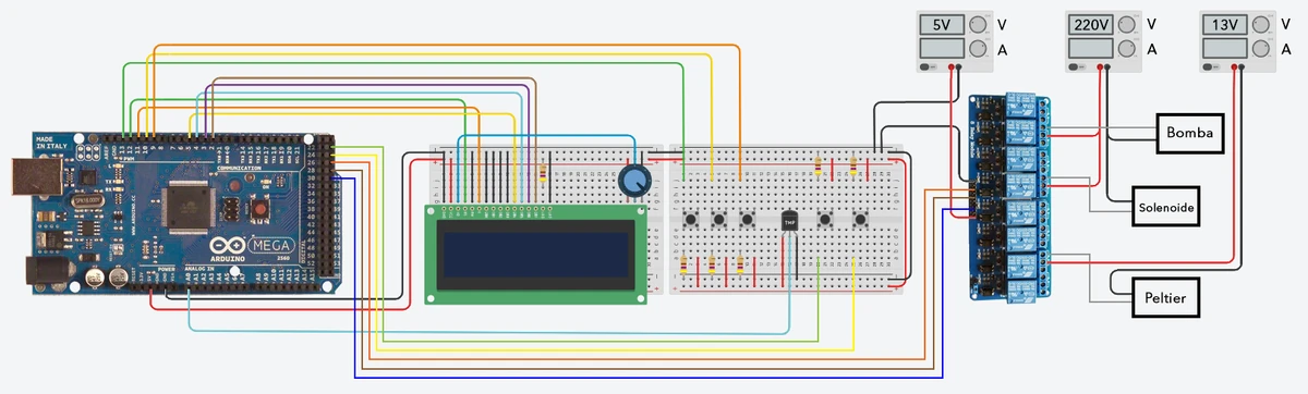 Barbot | Wiki LOUCo | Fandom
