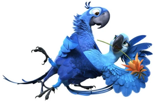 Blu and Jewel | Love couples Wiki | Fandom