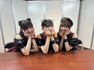 CatChu! | Love Live! Wiki | Fandom