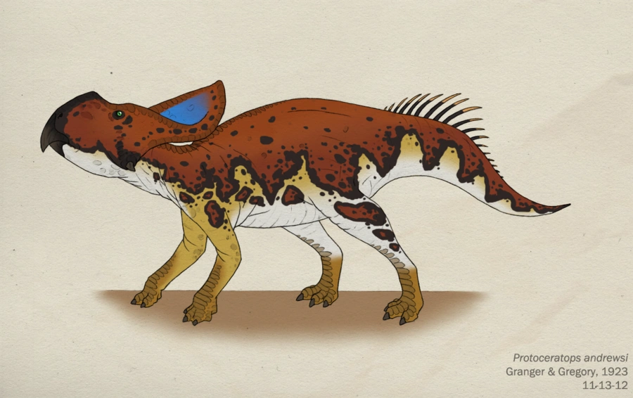 Protoceratops | Loveall231 Wikia | Fandom