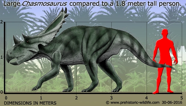 Chasmosaurus | Loveall231 Wikia | Fandom