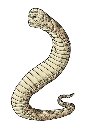 Progeny of Yig | The H.P. Lovecraft Wiki | Fandom