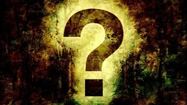 Dave Shephard | The H.P. Lovecraft Wiki | Fandom
