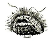 Glaaki | The H.P. Lovecraft Wiki | Fandom