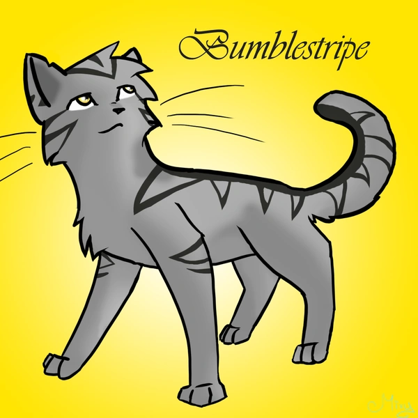Warriors Cats Bumblestripe