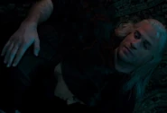 Yennefer of Vengerberg | Love Interest Wiki | Fandom