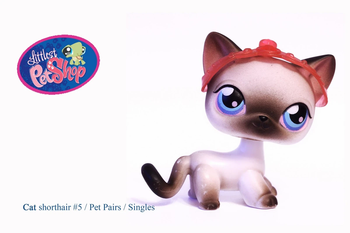 005 LPS Siamese Cat | Littlest pet shop Wiki | Fandom