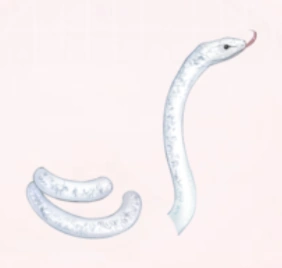 Snake Tara | Love Nikki-Dress UP Queen! Wiki | Fandom