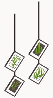 Green Plant Frame | Love Nikki-Dress UP Queen! Wiki | Fandom