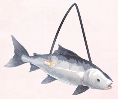 Salted Fish Satchel | Love Nikki-Dress UP Queen! Wiki | Fandom