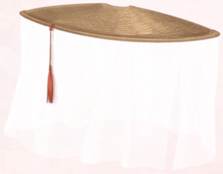 Curtained Hat | Love Nikki-Dress UP Queen! Wiki | Fandom