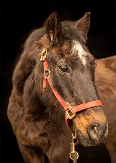 Bob Tadrick | Loving Memories Wiki | Fandom