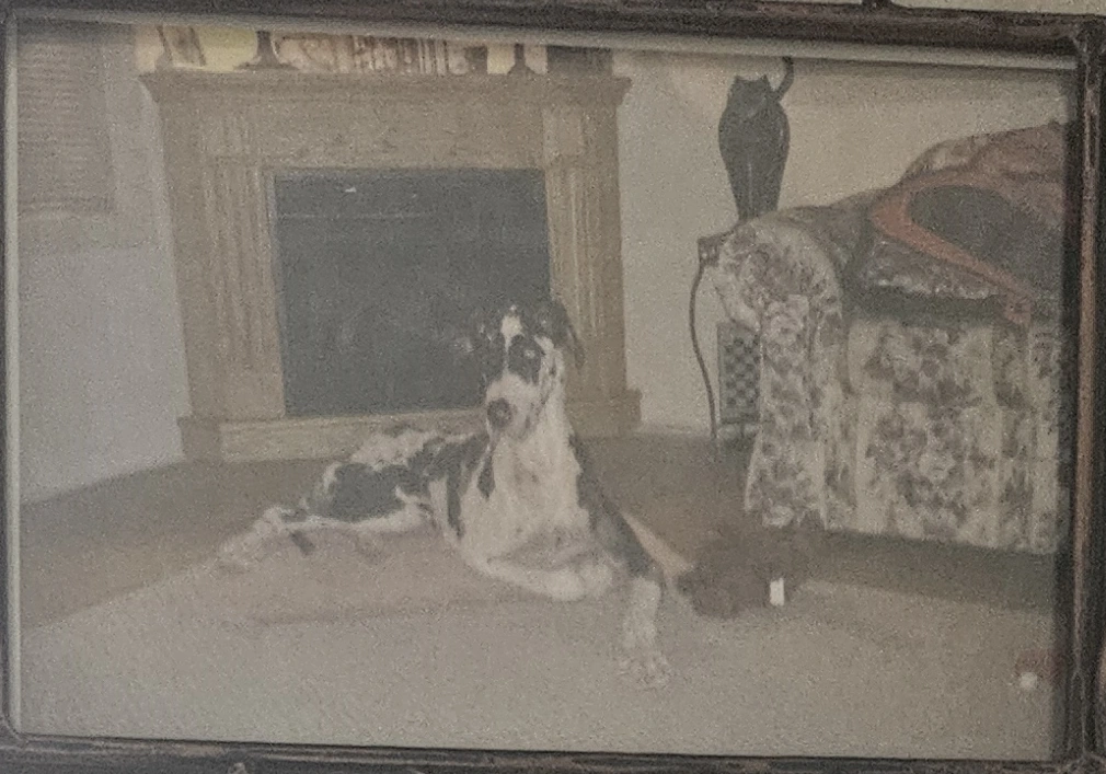 Sadie Hanlon | Loving Memories Wiki | Fandom