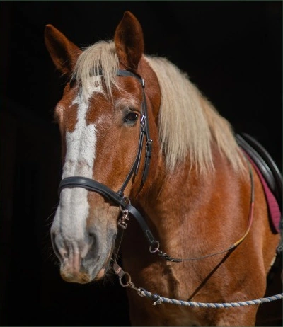 Buddy Denman | Loving Memories Wiki | Fandom