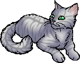 Lilypaw | Loyalty (Warrior Cat Fanfiction Series) Wiki | Fandom