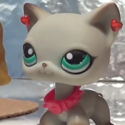 Scarlett Kennedy | ★ LPS: 212 Manhattan Wiki | Fandom