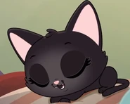 Jade Catkin | Lps A World of Own Own Fanon Wiki | Fandom