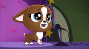Roxie McTerrier | Lps A World of Own Own Fanon Wiki | Fandom