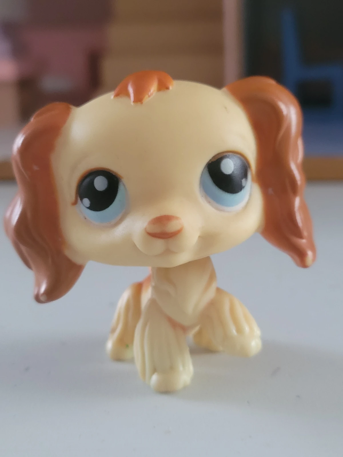 Category:Cocker Spaniels | LPS Artist School Reimagined Wiki | Fandom