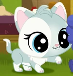 Kitten Gicat | LPS AWOO fanmade Wiki | Fandom