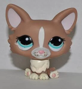 Cory | LPS AWOO fanmade Wiki | Fandom