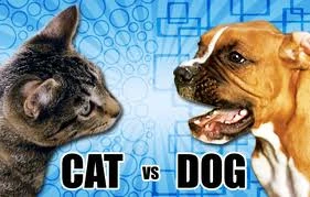 Category:Stories | LPS Dogs VS Cats Wiki | Fandom