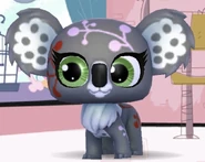 Koalas | Littlest Pet Shop Gameloft Wiki | Fandom