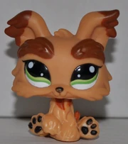 Yorkies | Littlest Pet Shop Gameloft Wiki | Fandom