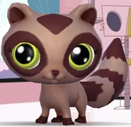 Raccoons | Littlest Pet Shop Gameloft Wiki | Fandom