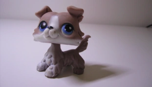 Kyle Sharpe | LPS Spring Break Wiki | Fandom