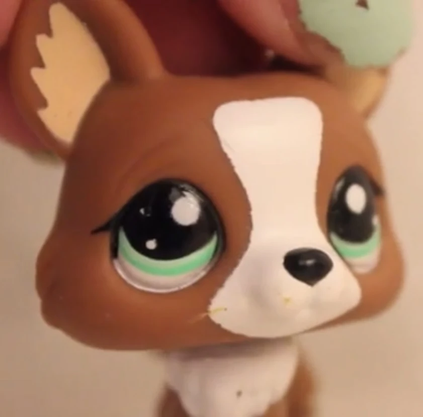Unknown Corgi | LPS Uptown Wiki | Fandom