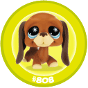 808 Basset Hound | Littlest Pet Shop Wiki | Fandom