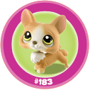 183 | Littlest Pet Shop Wiki | Fandom