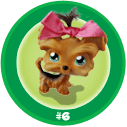 006 Yorkie | Littlest Pet Shop Wiki | Fandom