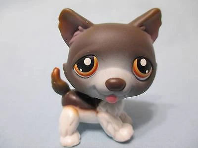 174 Husky | Littlest Pet Shop Wiki | Fandom