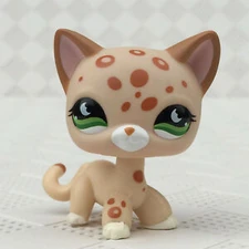852 | Littlest Pet Shop Wiki | Fandom