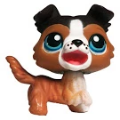 237 | Littlest Pet Shop Wiki | Fandom