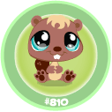 810 Beaver | Littlest Pet Shop Wiki | Fandom