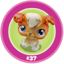 037 | Littlest Pet Shop Wiki | Fandom