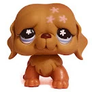 481 | Littlest Pet Shop Wiki | Fandom