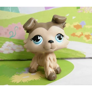 Collie 893 | Littlest Pet Shop Wiki | Fandom
