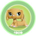 Lps dachshund 909 | Littlest Pet Shop Wiki | Fandom