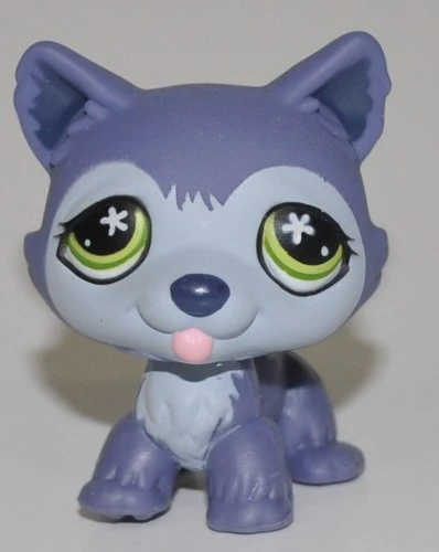 LPS Husky 487 | Littlest Pet Shop Wiki | Fandom