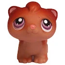 260 | Littlest Pet Shop Wiki | Fandom